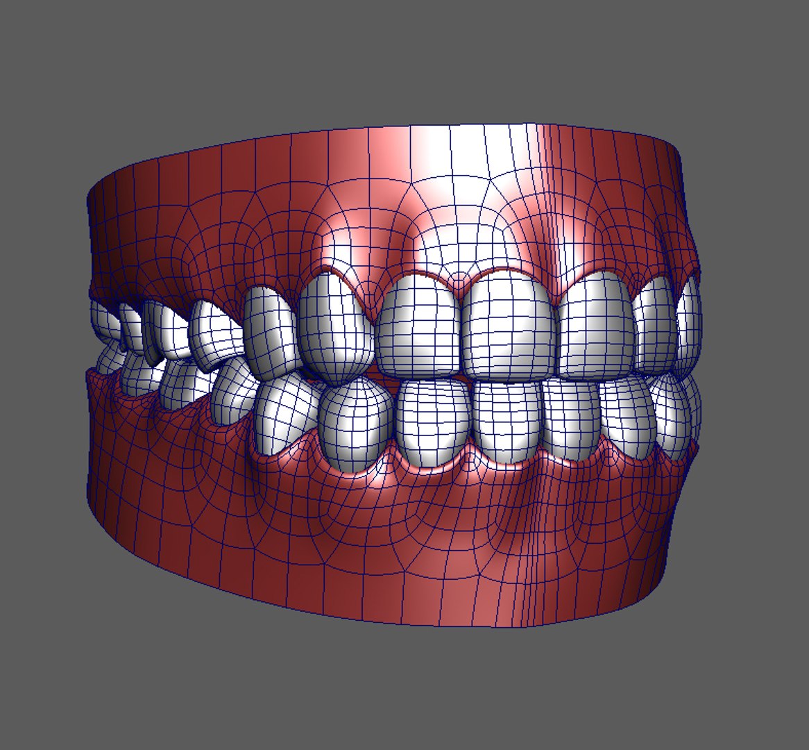Cartoon Teeth 3d Model
