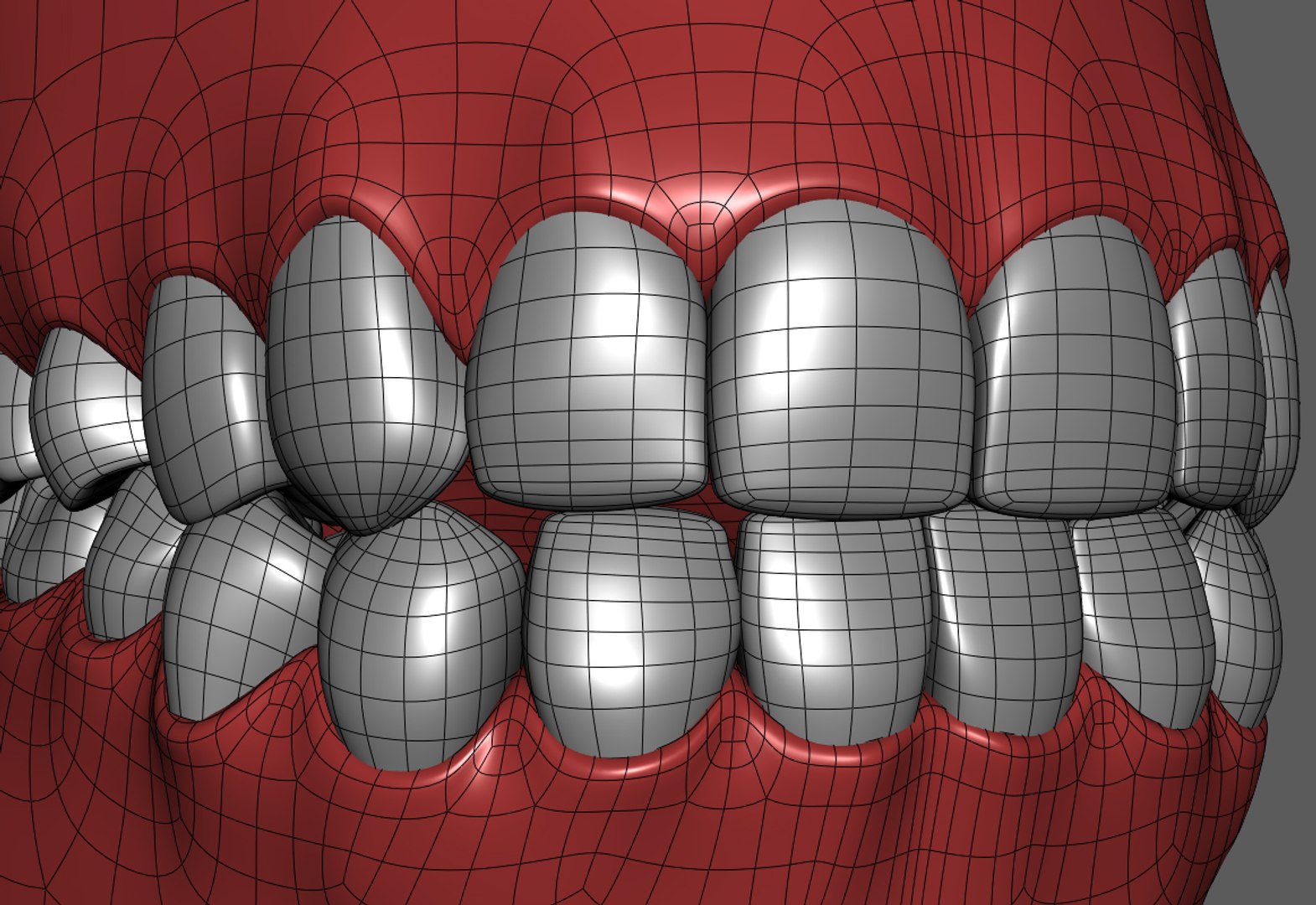 Cartoon Teeth 3d Model