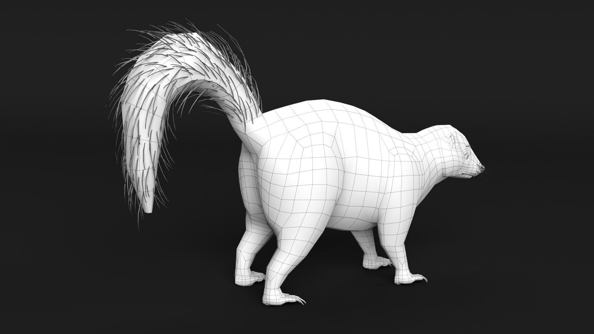 3D Skunk Animal Mammal Model - TurboSquid 1684953