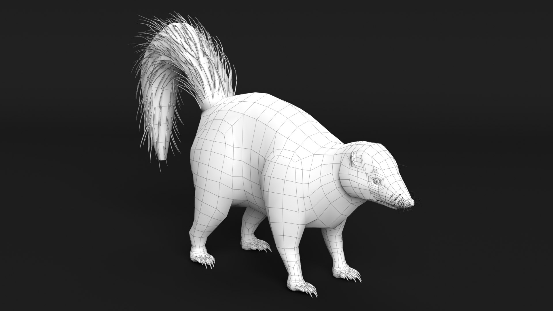3D Skunk Animal Mammal Model - TurboSquid 1684953
