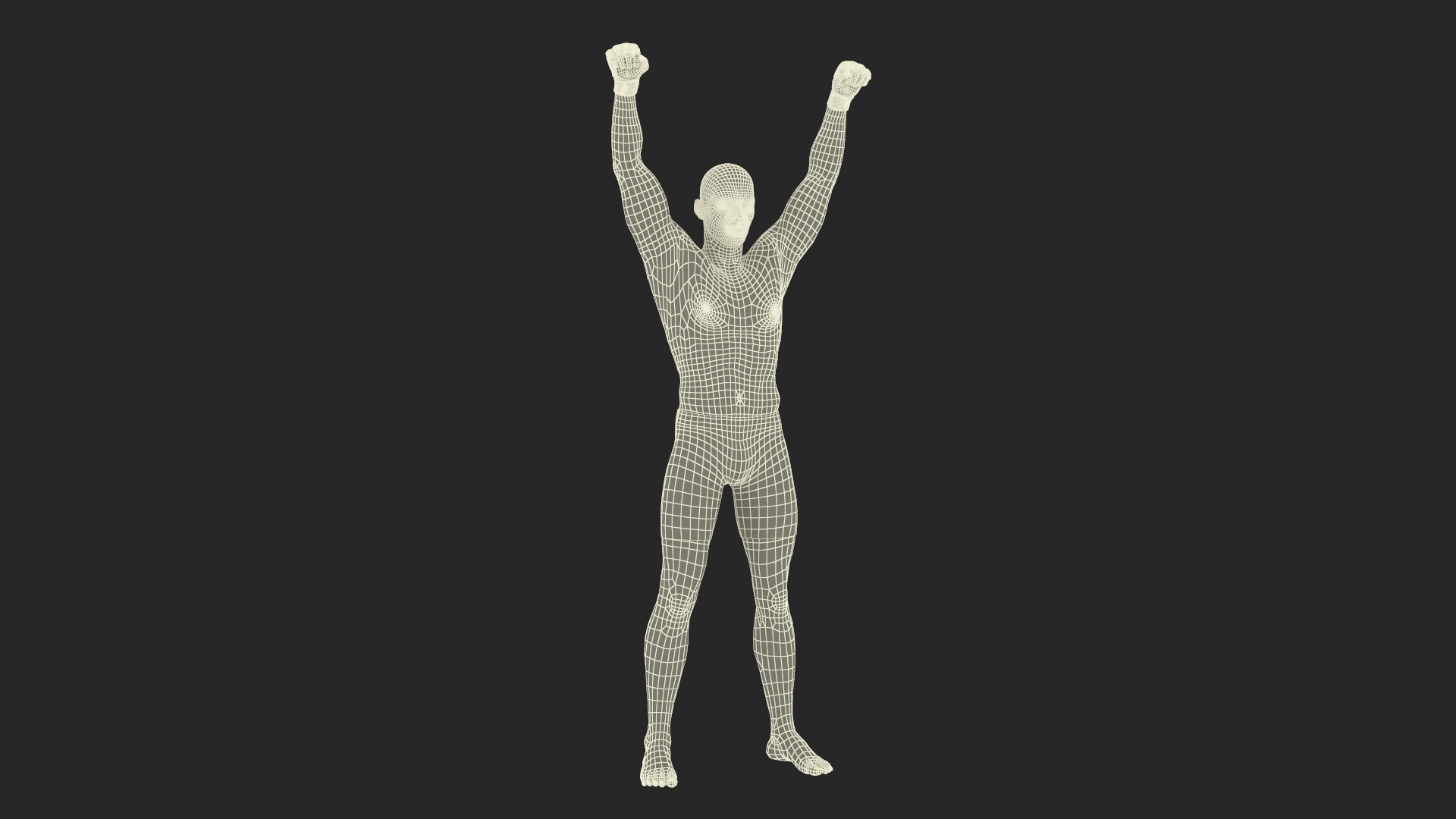 UFC MMA Fighter In Victory Pose Sweaty Fur 3D - TurboSquid 2334032