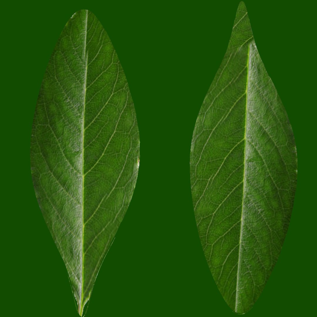 Birthday Cake 3D - TurboSquid 1733536