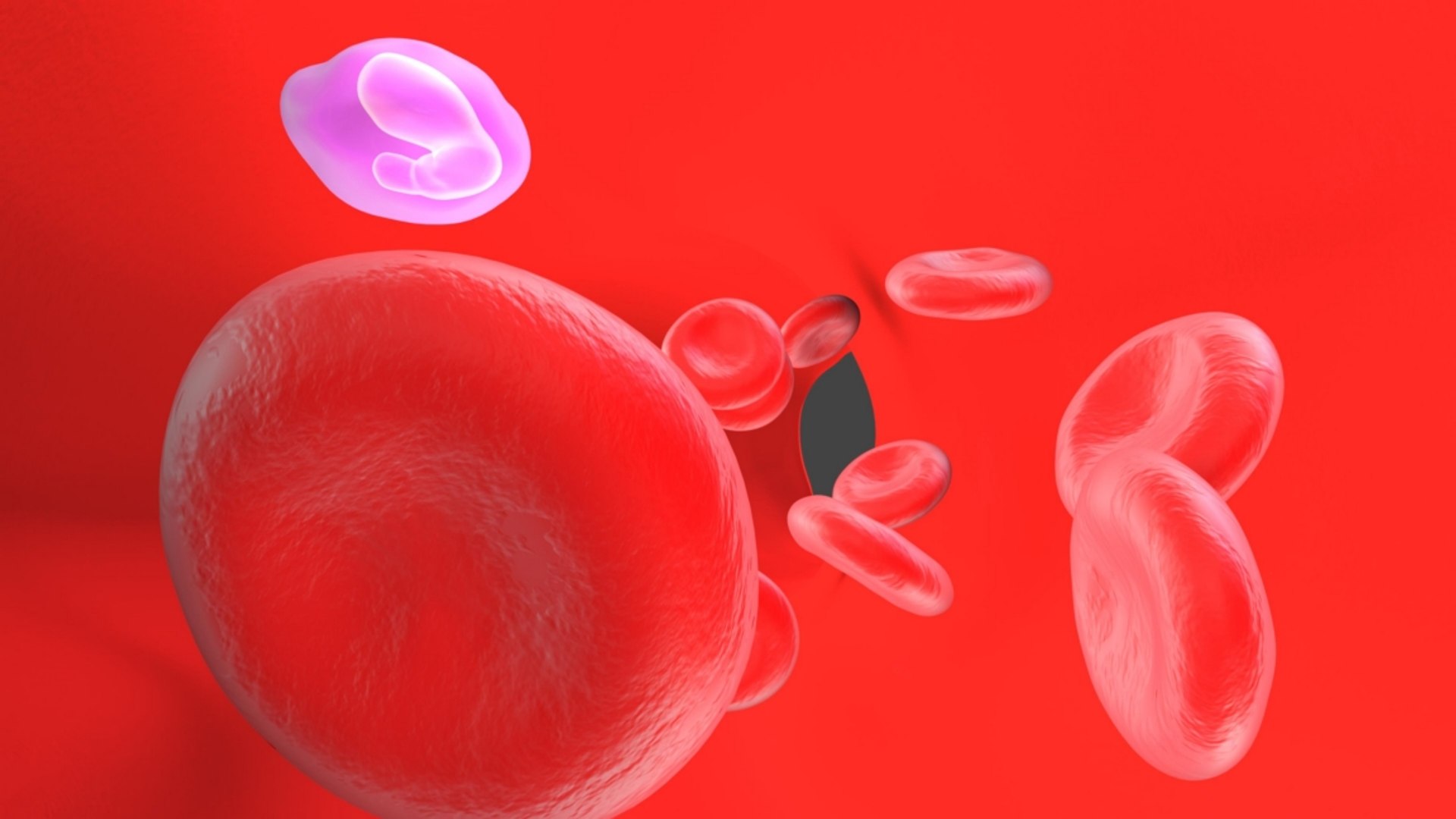 Blood Cells Elements 3D - TurboSquid 1264399