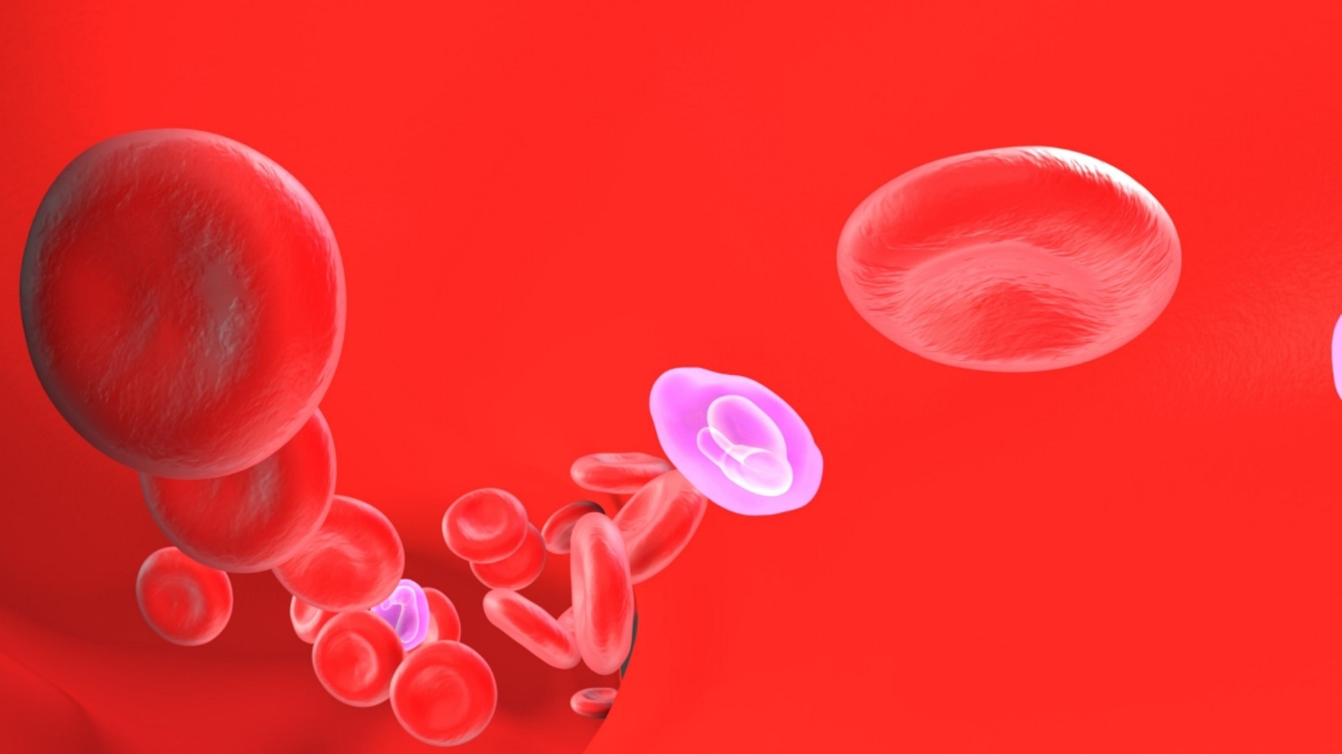 Blood Cells Elements 3D - TurboSquid 1264399