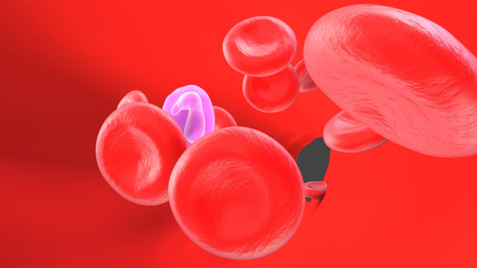 Blood Cells Elements 3D - TurboSquid 1264399