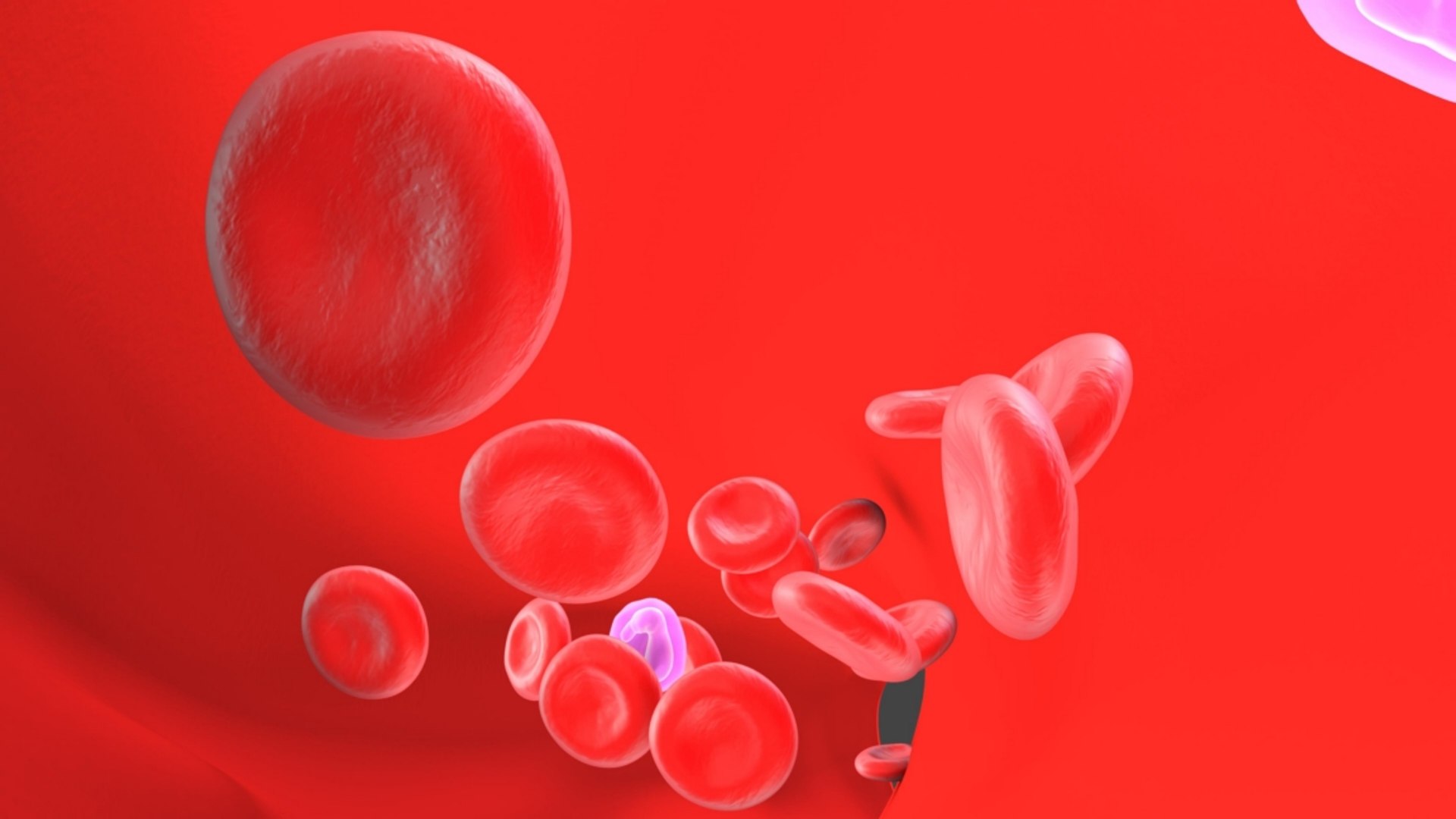 Blood Cells Elements 3D - TurboSquid 1264399