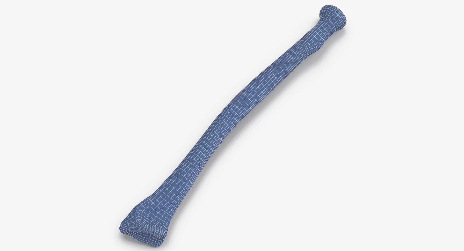 Human Radius Radial Bone Model - TurboSquid 1436397