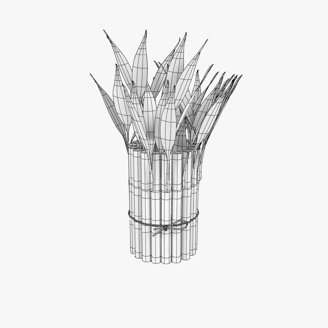 3d Model Bamboo