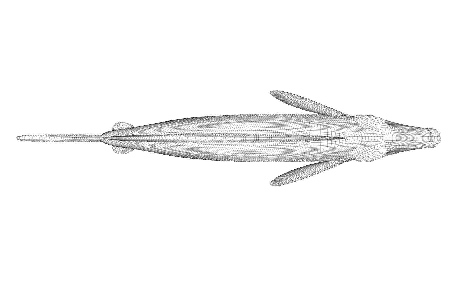 Purple Tang 3D Model - TurboSquid 2045476