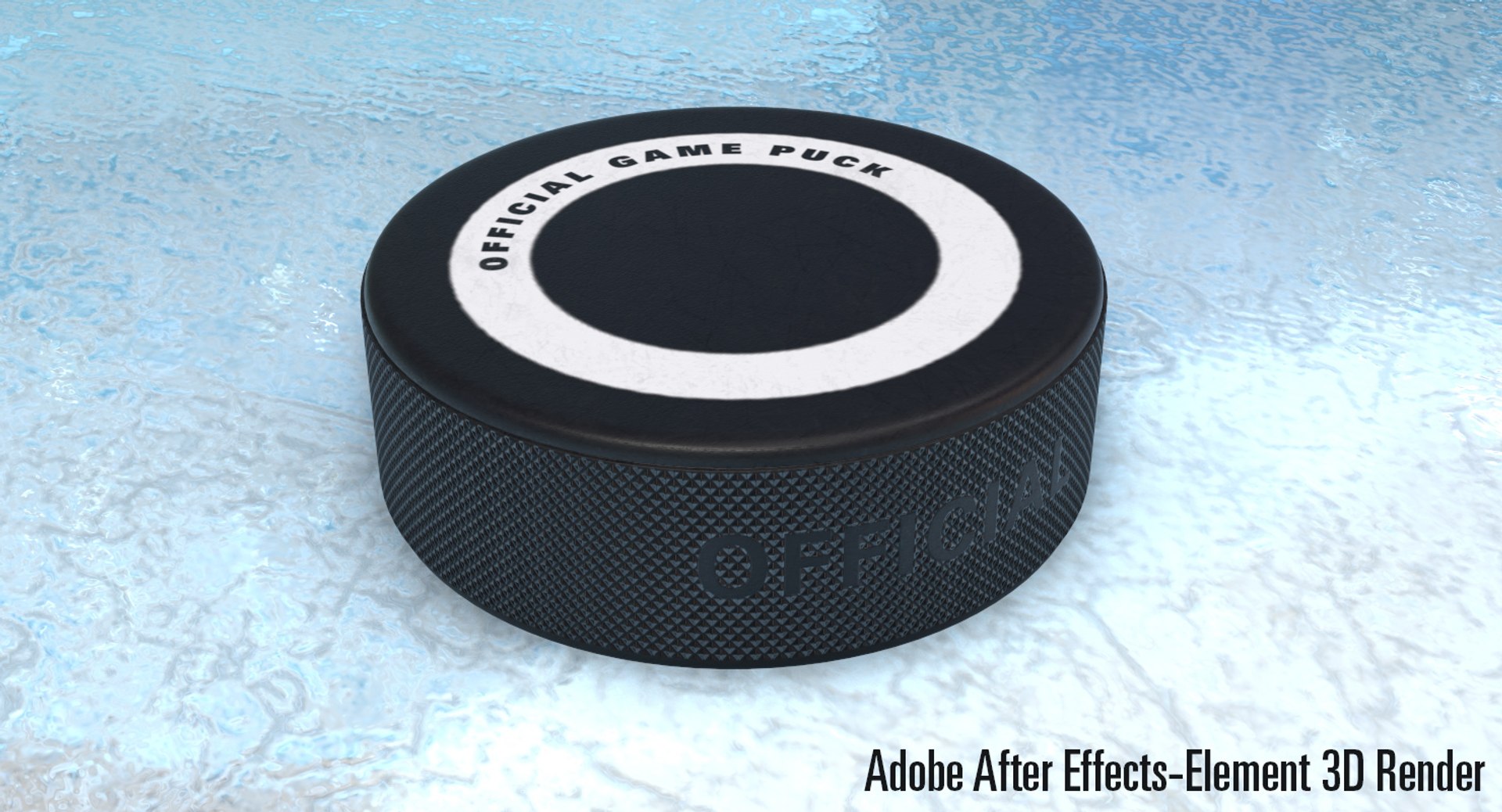 3D Hockey Puck - TurboSquid 1251698