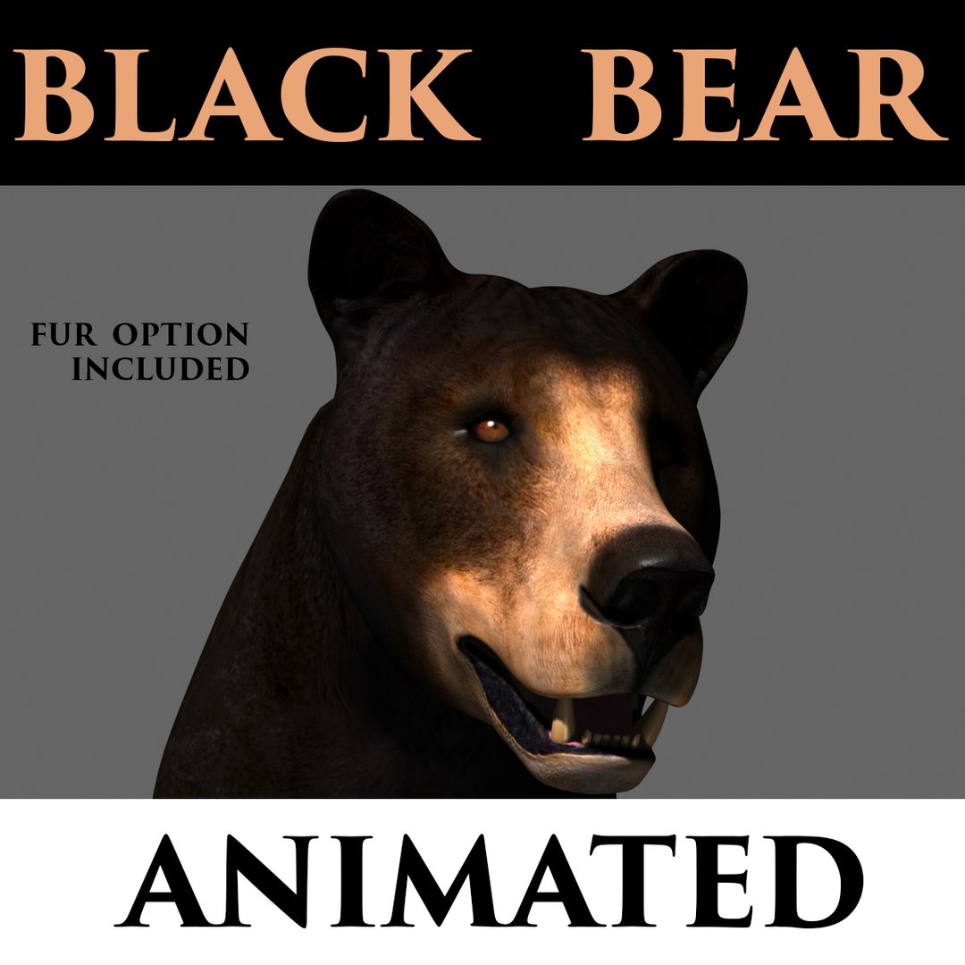 Black bear animation 3D model - TurboSquid 1338465