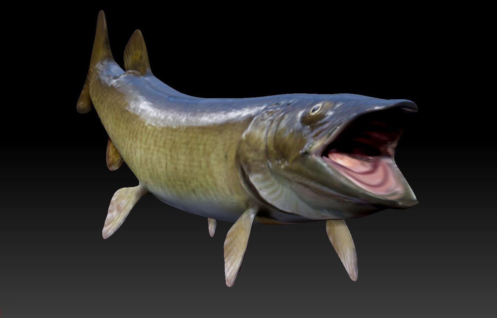 3D Model Animation Muskellunge Fish - TurboSquid 1486931