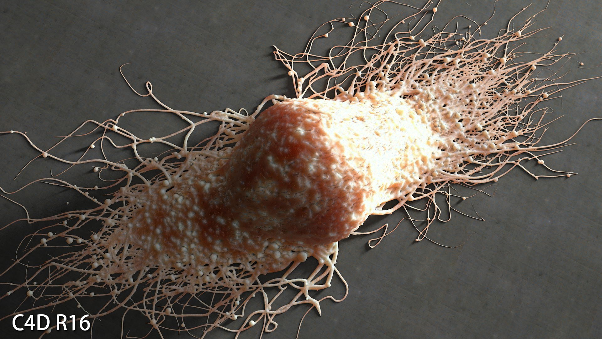 3d Extremely Photorealistic Attached Cell