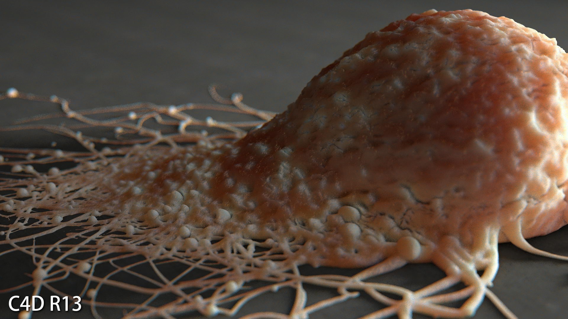 3d Extremely Photorealistic Attached Cell