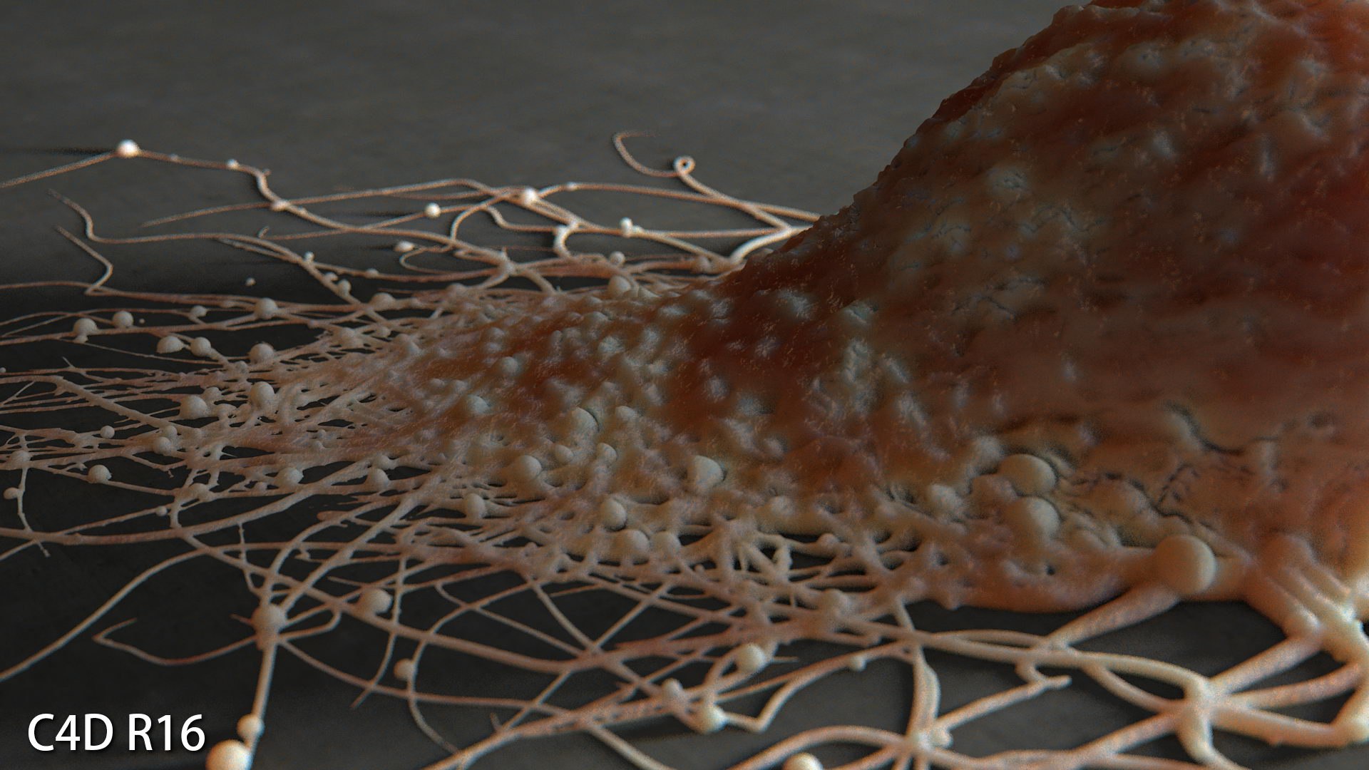 3d Extremely Photorealistic Attached Cell