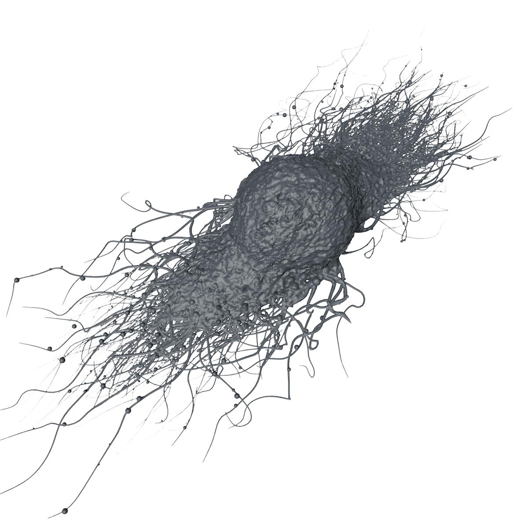 3d Extremely Photorealistic Attached Cell