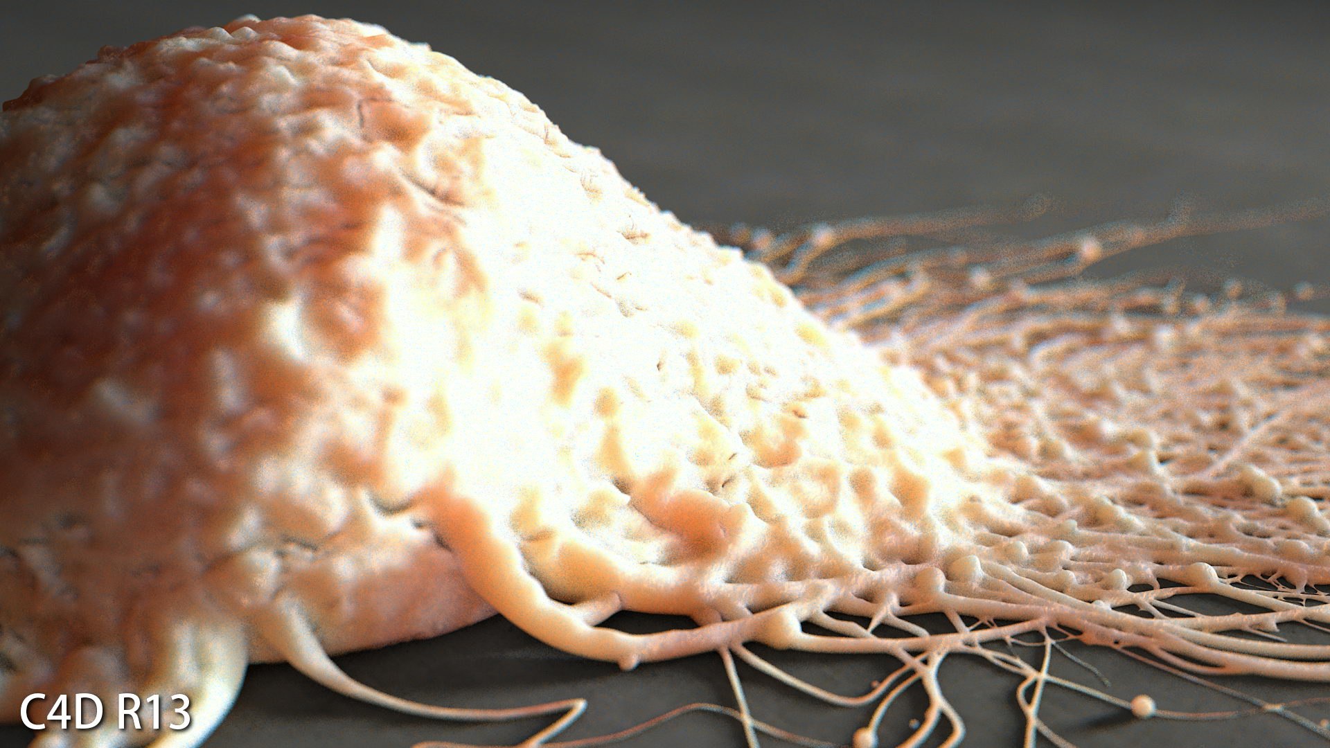 3d Extremely Photorealistic Attached Cell