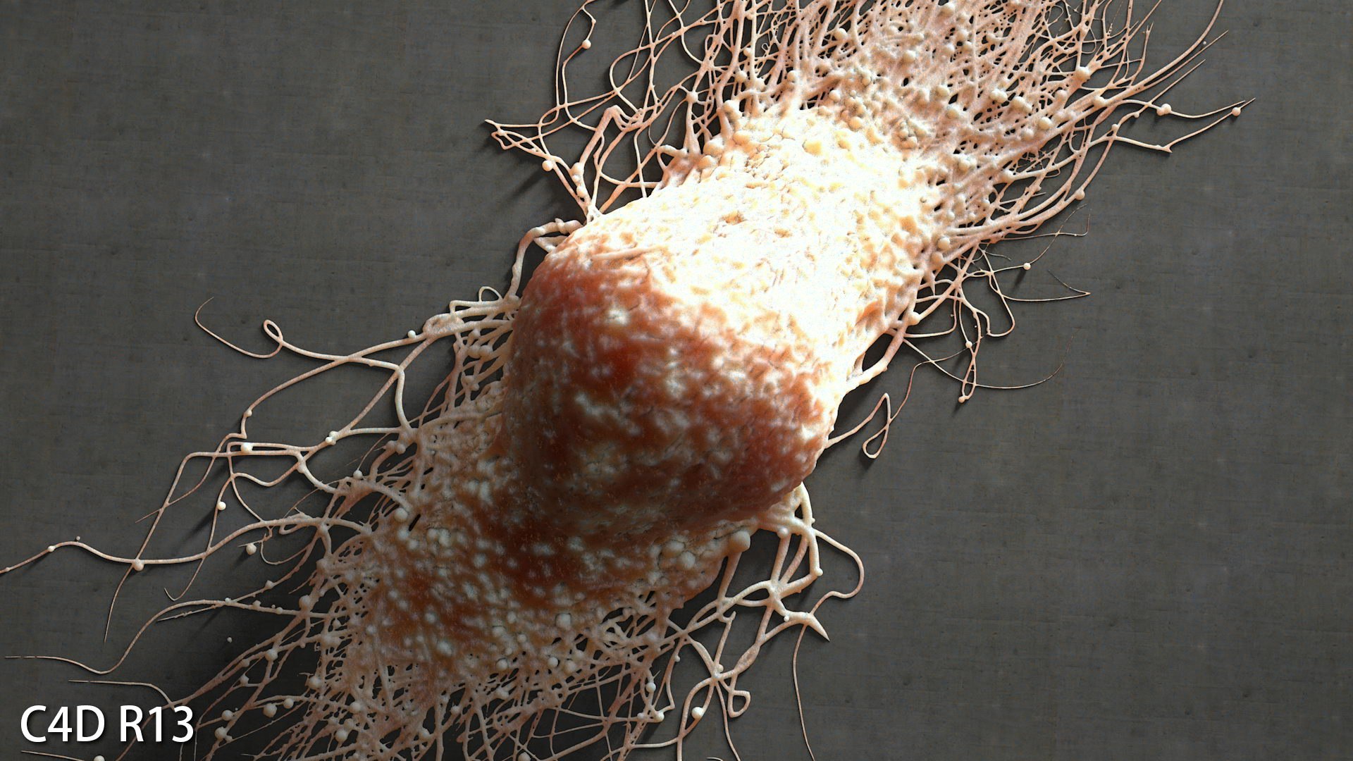 3d Extremely Photorealistic Attached Cell