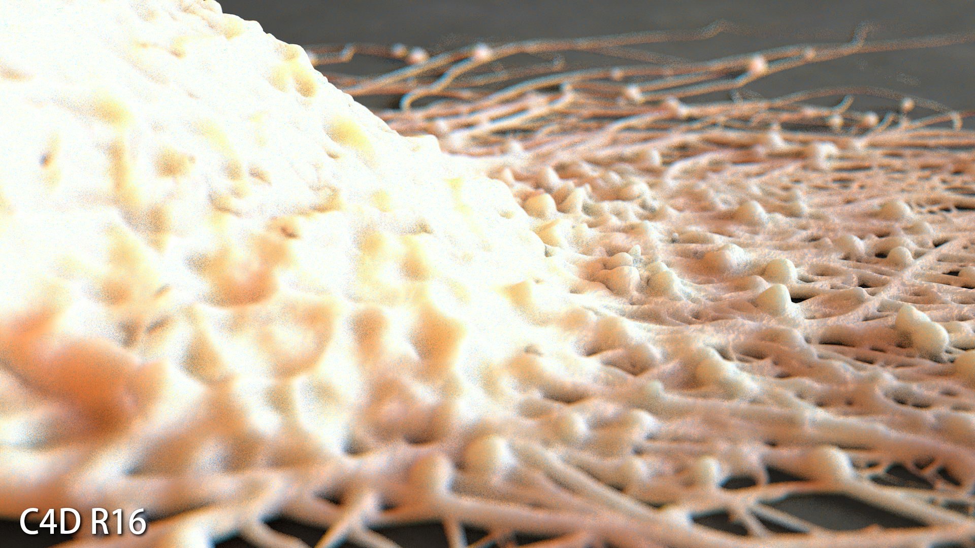 3d Extremely Photorealistic Attached Cell