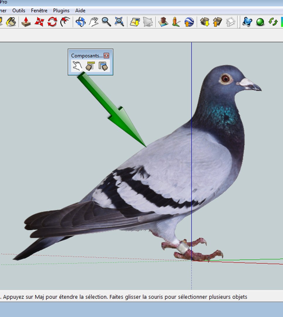 3d Model Of 2d Dynamic Pigeons