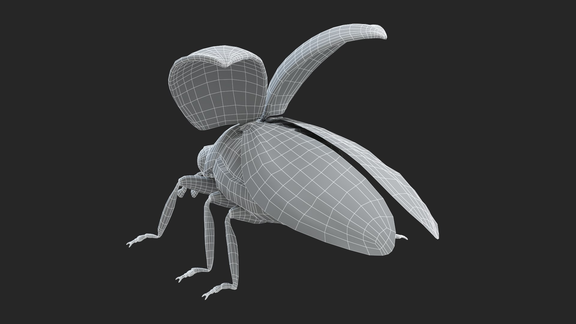 Ladybug model - TurboSquid 1966741