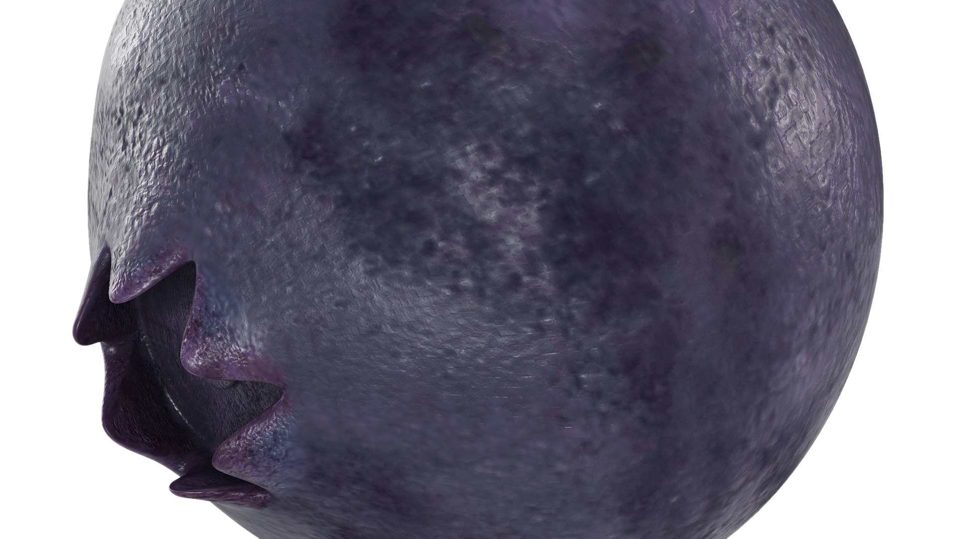 3D Blueberry Model - TurboSquid 1882410