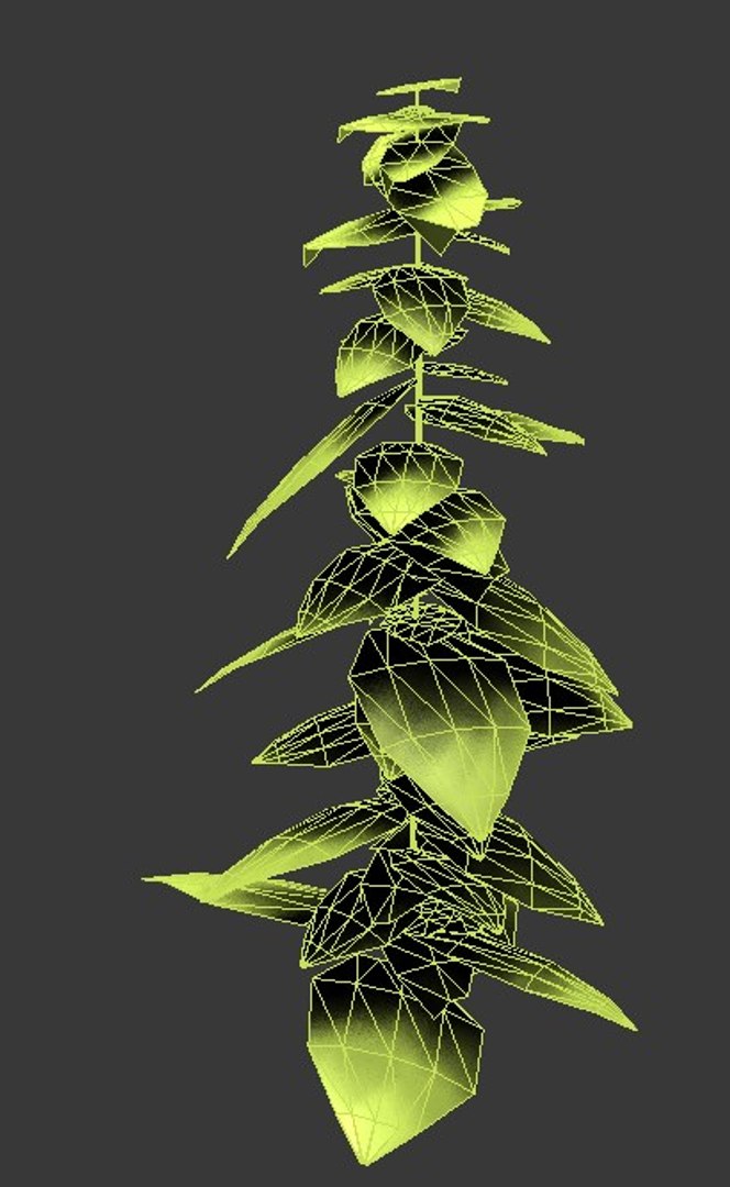 Nettle Summer Frost 3D Model - TurboSquid 1389772