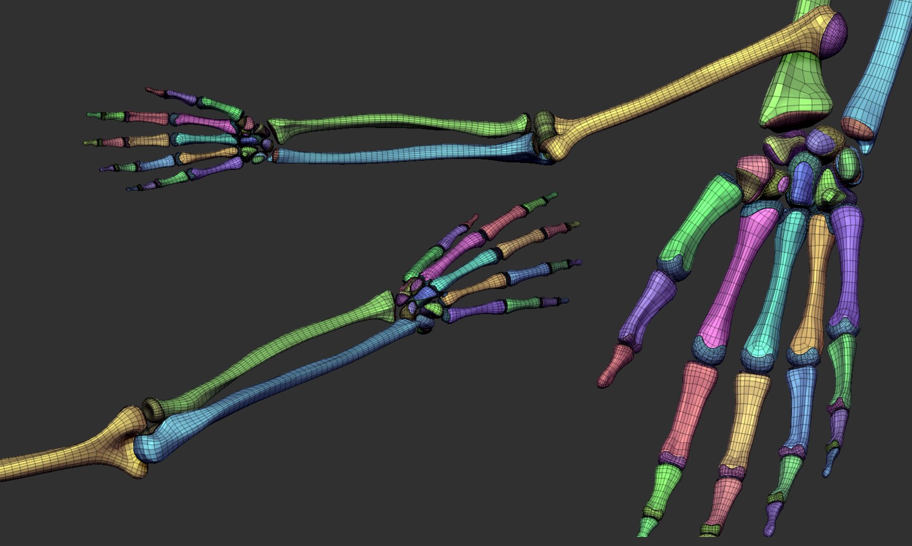 Arm Skeleton Realistic 3D - TurboSquid 1417882