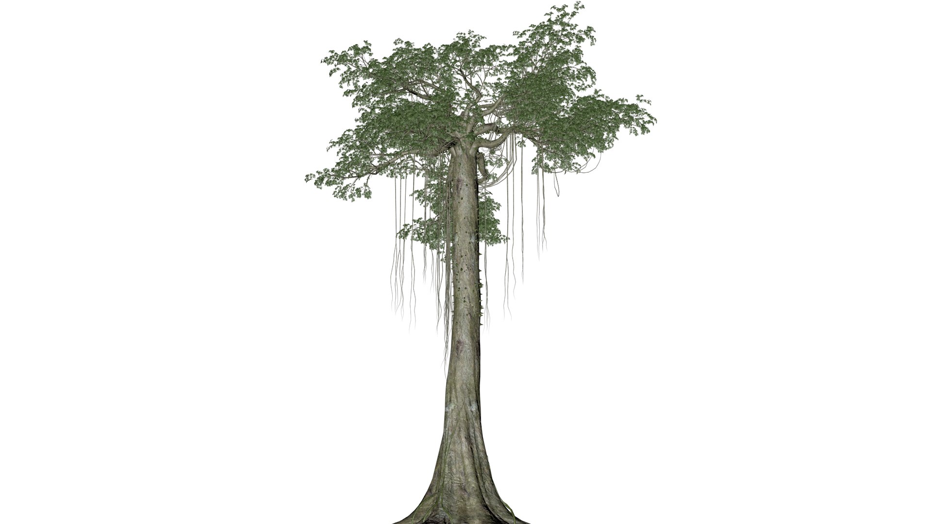 3D Kapok Tree - 02 - Model - TurboSquid 2376703