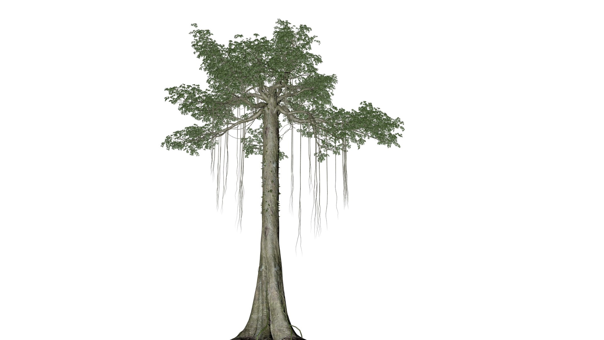 3D Kapok Tree - 02 - Model - TurboSquid 2376703