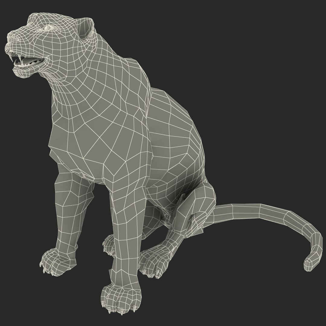 Snow Leopard Pose 2 Max