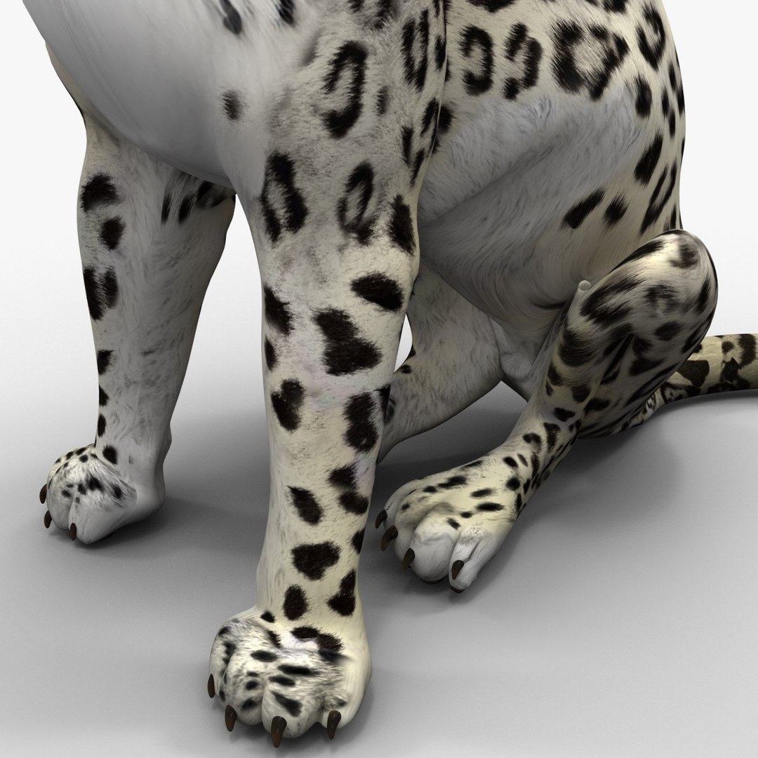 Snow Leopard Pose 2 Max