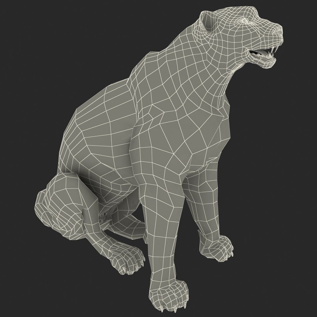 Snow Leopard Pose 2 Max