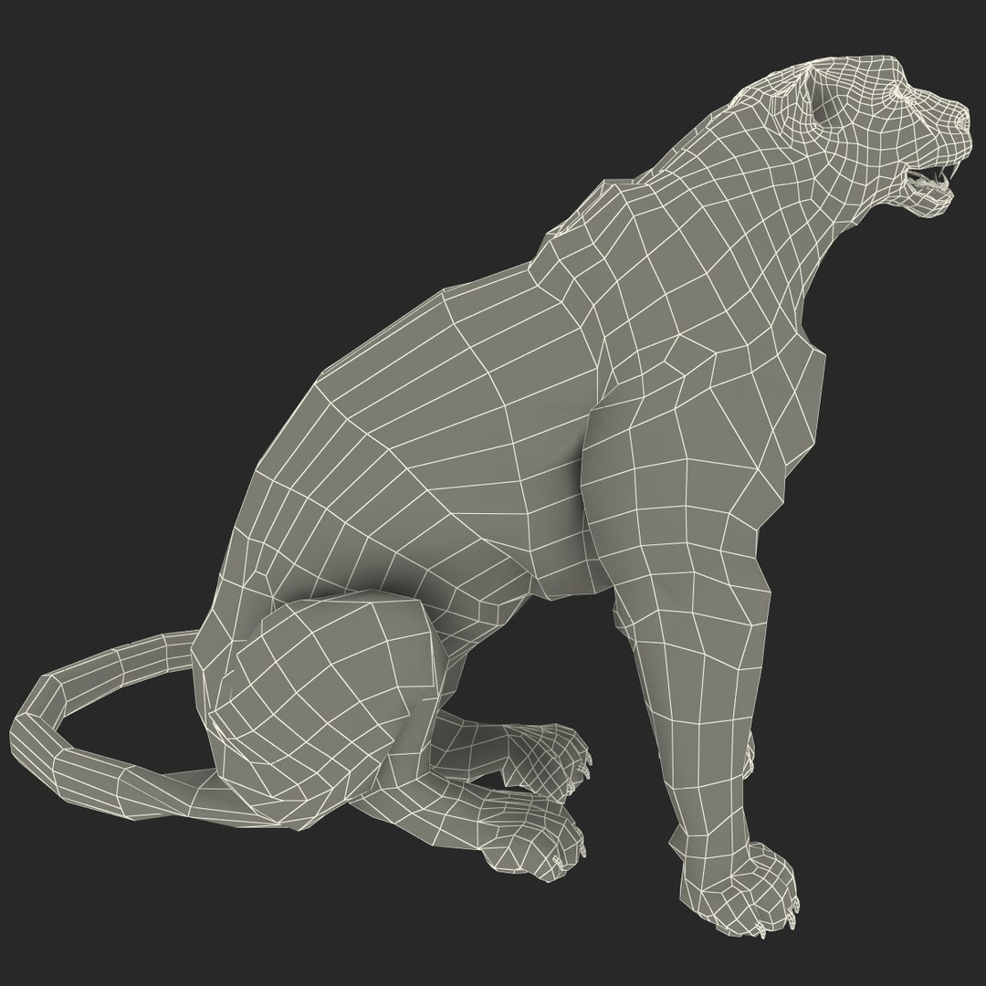 Snow Leopard Pose 2 Max