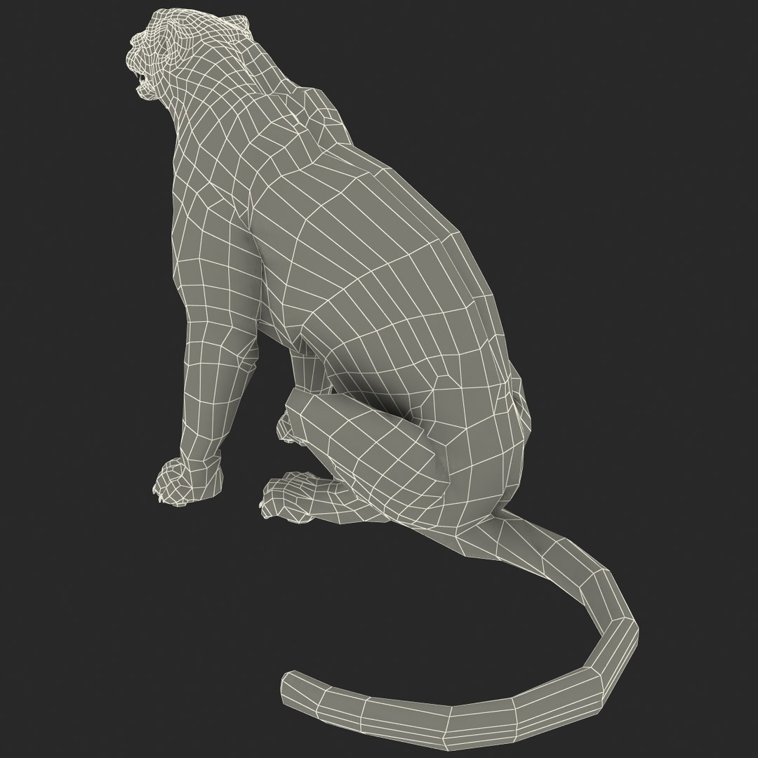 Snow Leopard Pose 2 Max