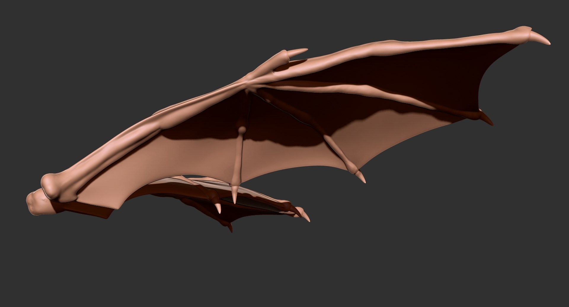 Wing Creature 2019 3D Model - TurboSquid 1440538