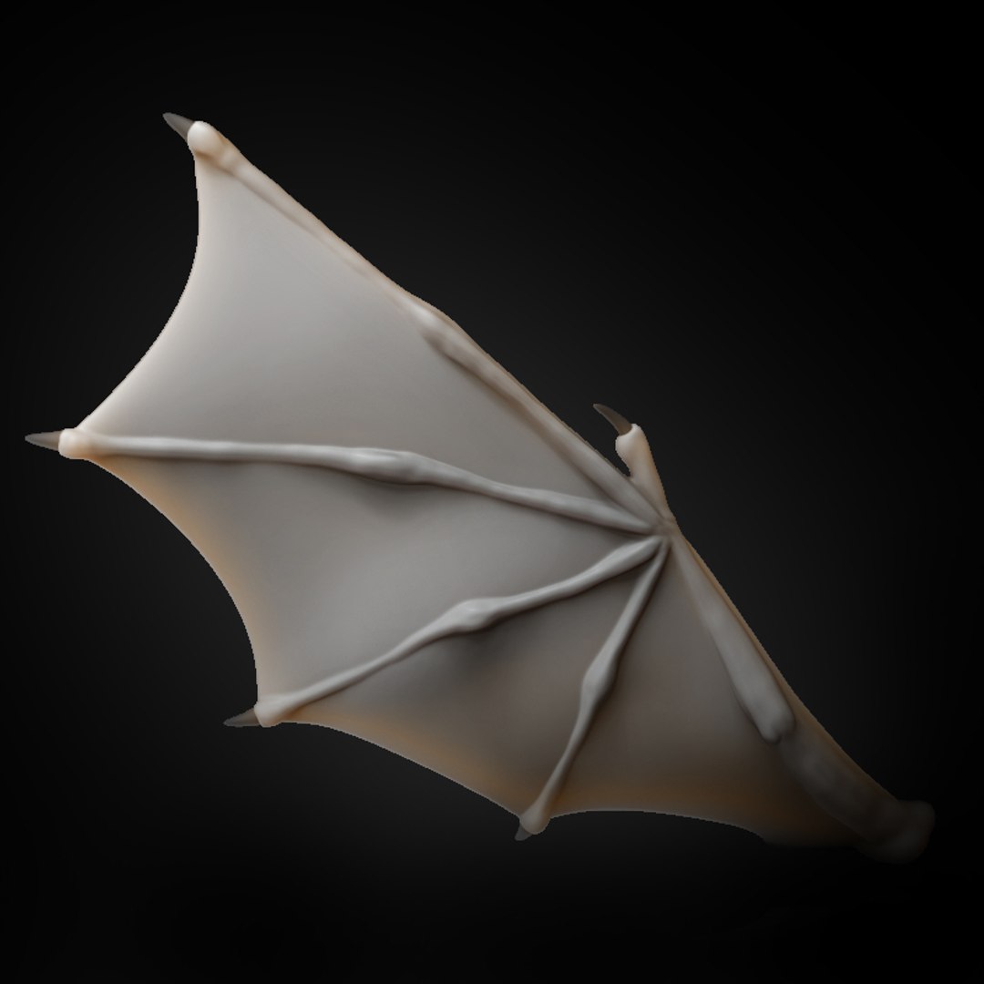 Wing Creature 2019 3D Model - TurboSquid 1440538