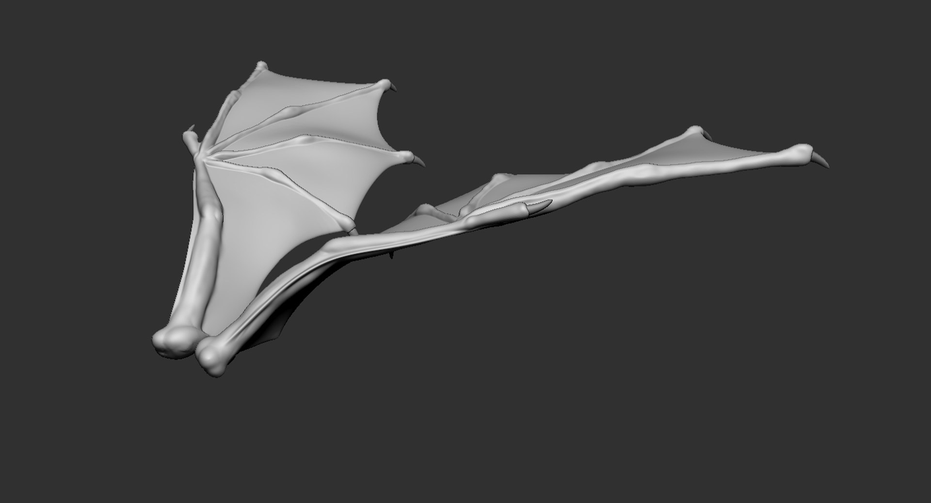 Wing Creature 2019 3D Model - TurboSquid 1440538