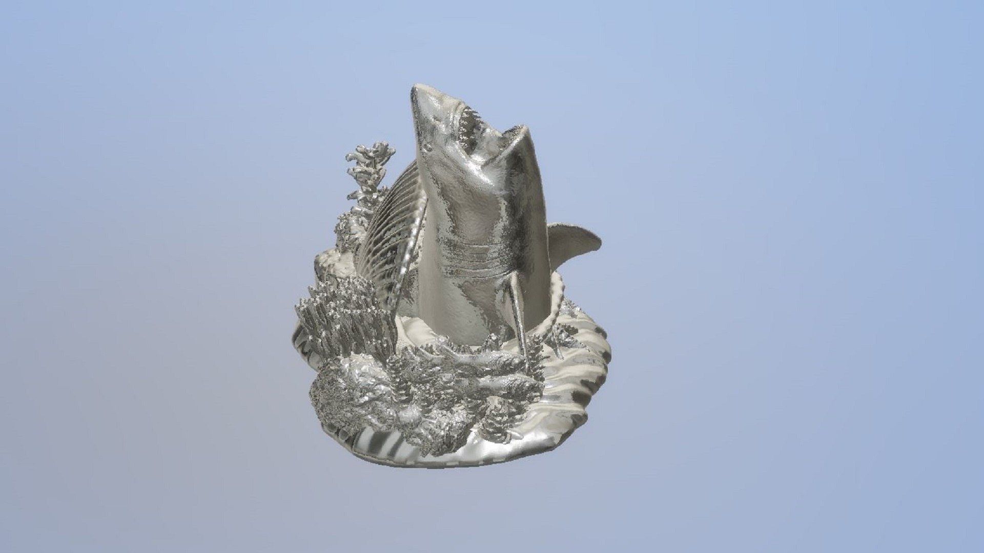 3D Shark Reef Seashell Model - TurboSquid 2143168