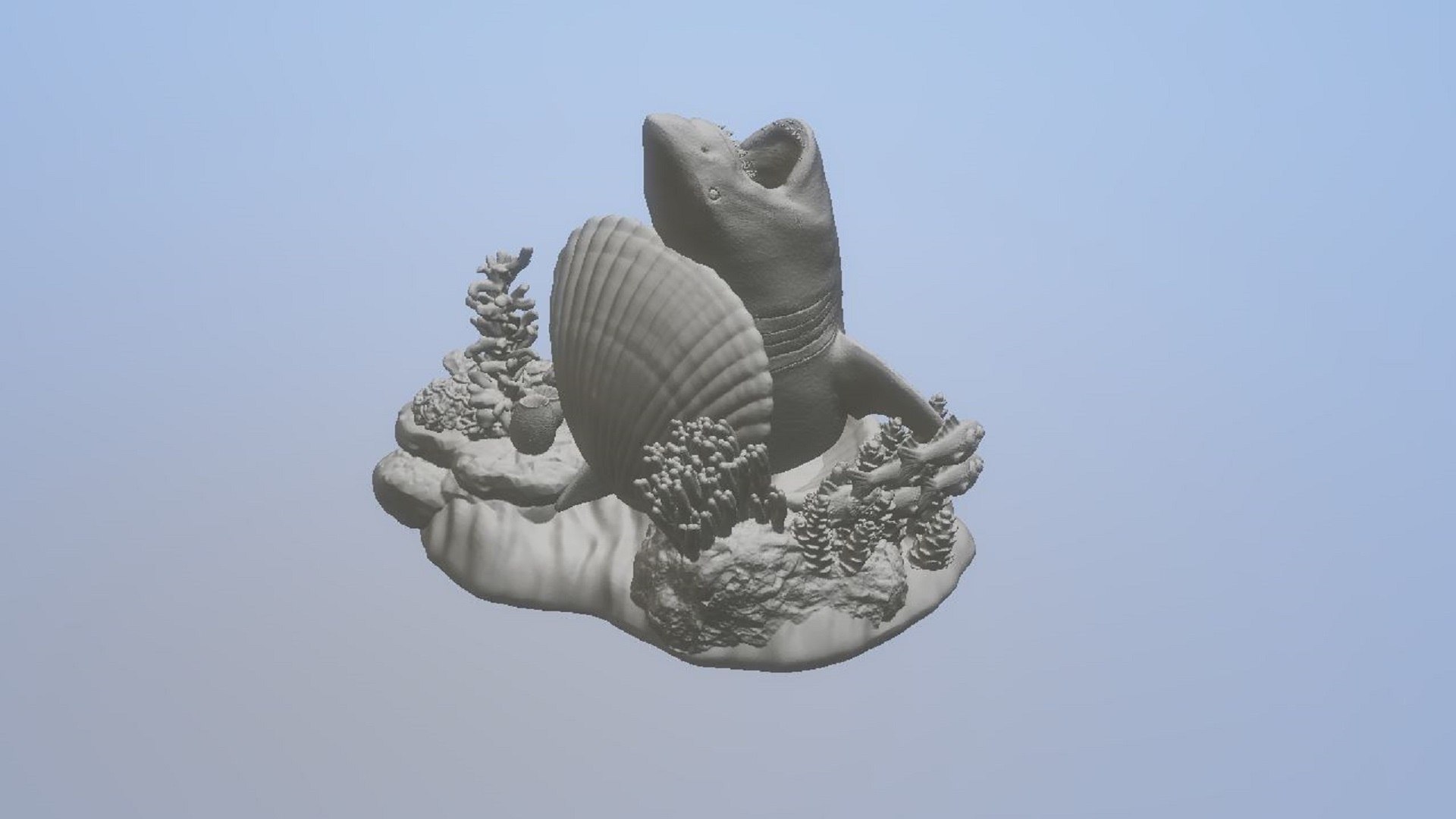 3D Shark Reef Seashell Model - TurboSquid 2143168