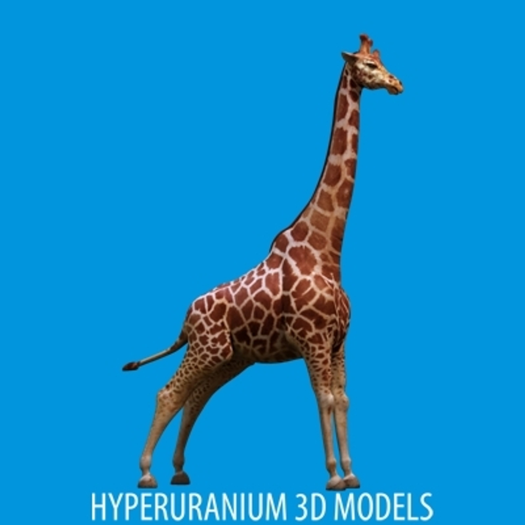 giraffe 3d model
