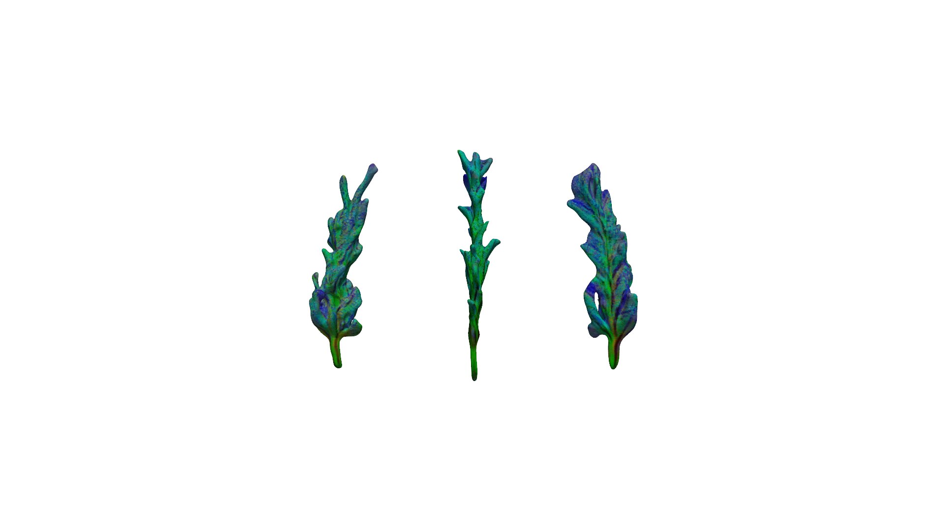 3D Model Seaweed Plants - TurboSquid 2221432