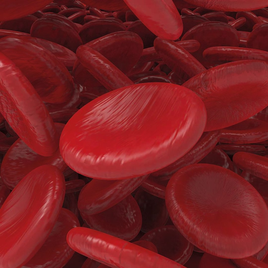 3D Red Blood Cell Model - TurboSquid 1286277