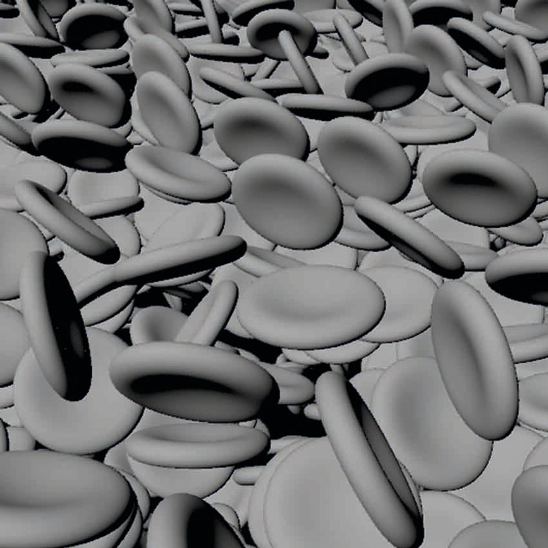 3D Red Blood Cell Model - TurboSquid 1286277