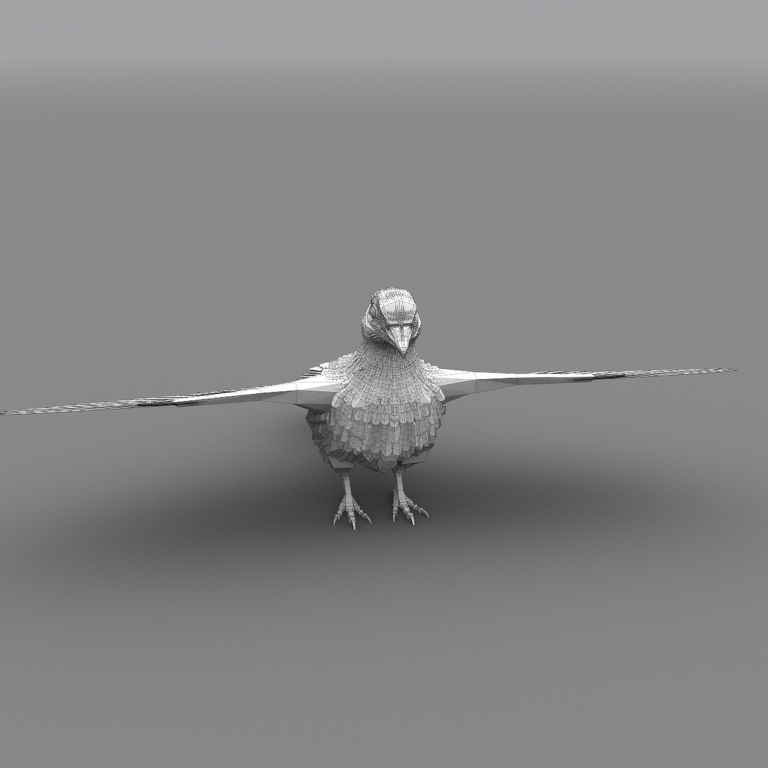 dove animation bird 3d model