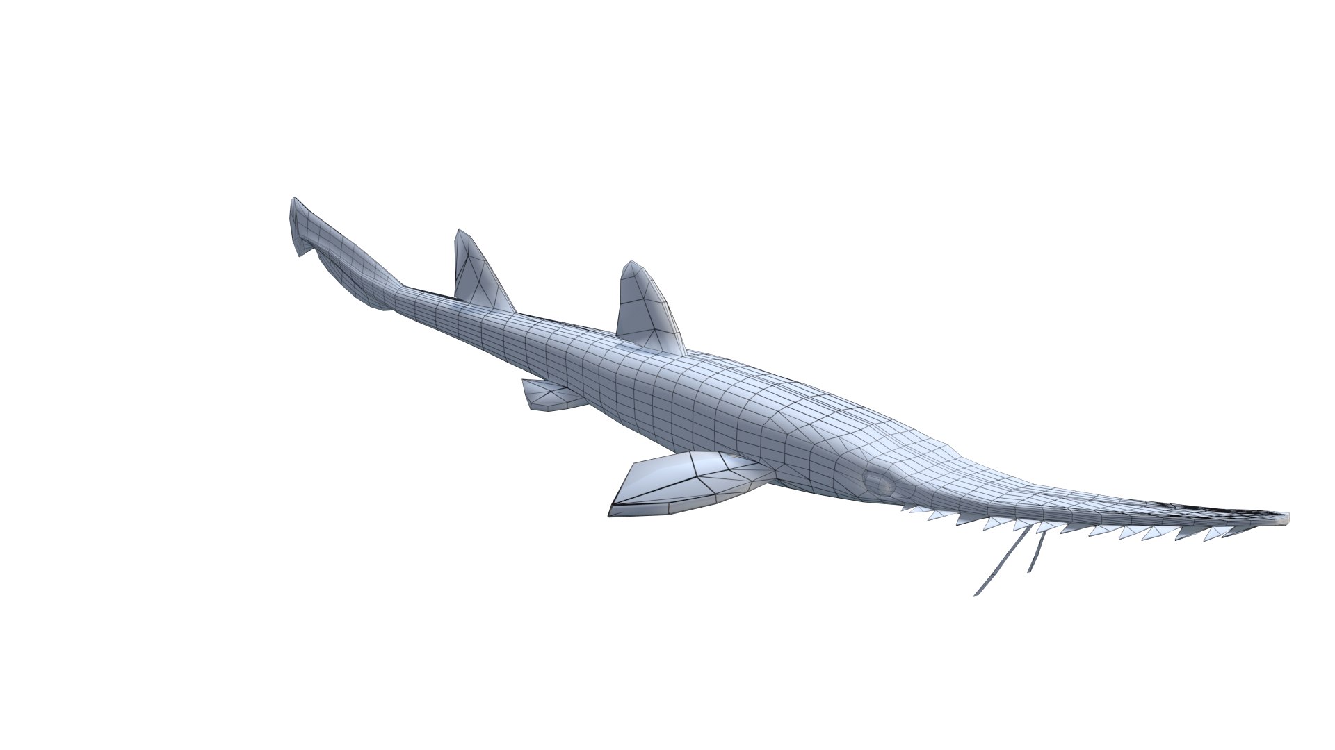3D Smalltooth Sawfish 3D Model - TurboSquid 2311797