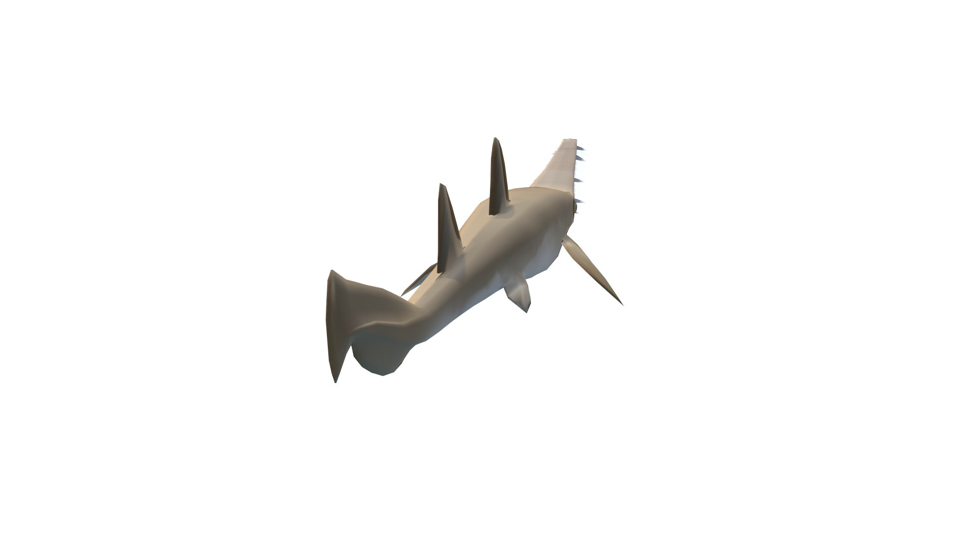 3D Smalltooth Sawfish 3D Model - TurboSquid 2311797