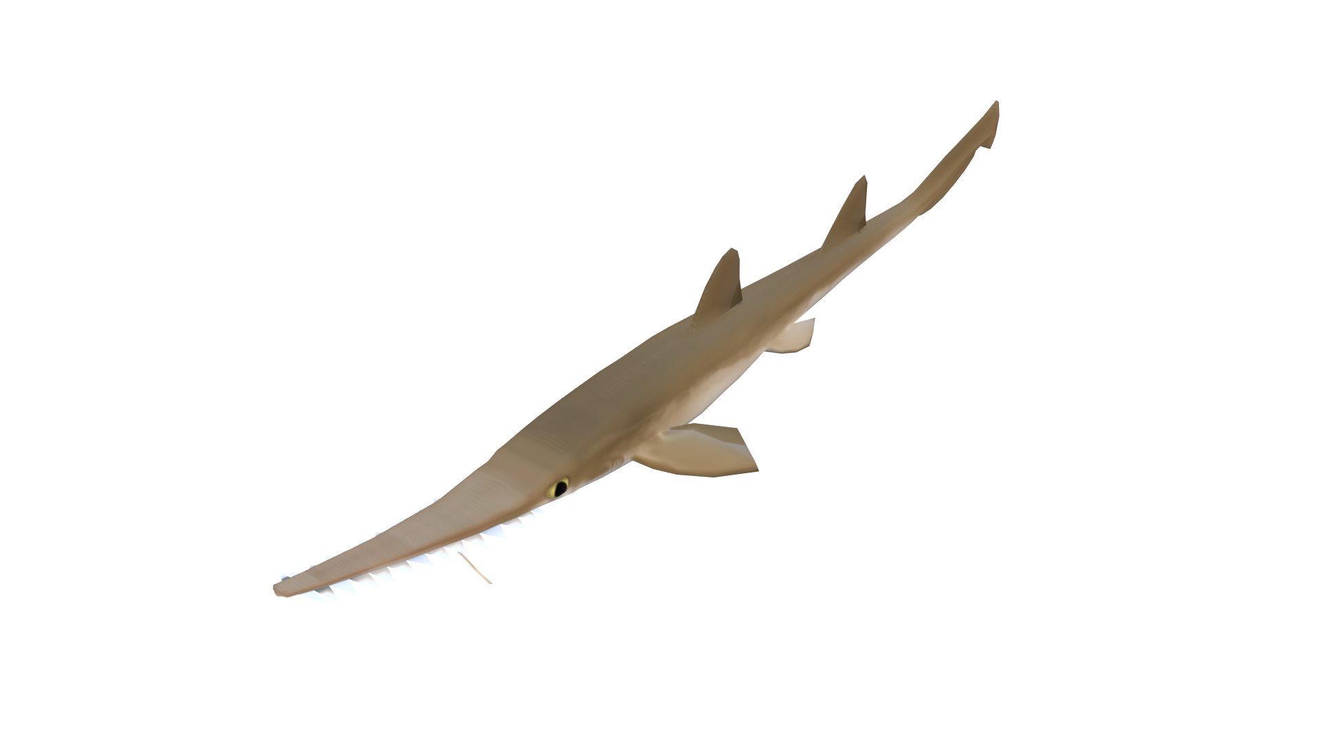 3D Smalltooth Sawfish 3D Model - TurboSquid 2311797