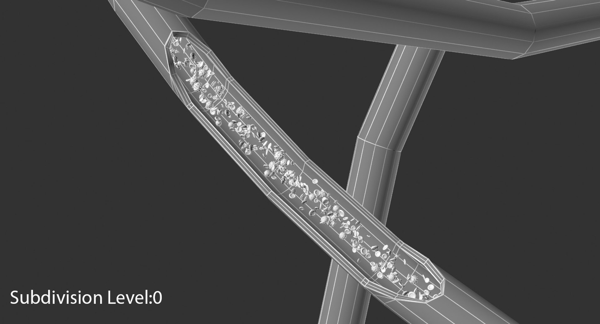 Bloodstream Static 3D Model - TurboSquid 1328016
