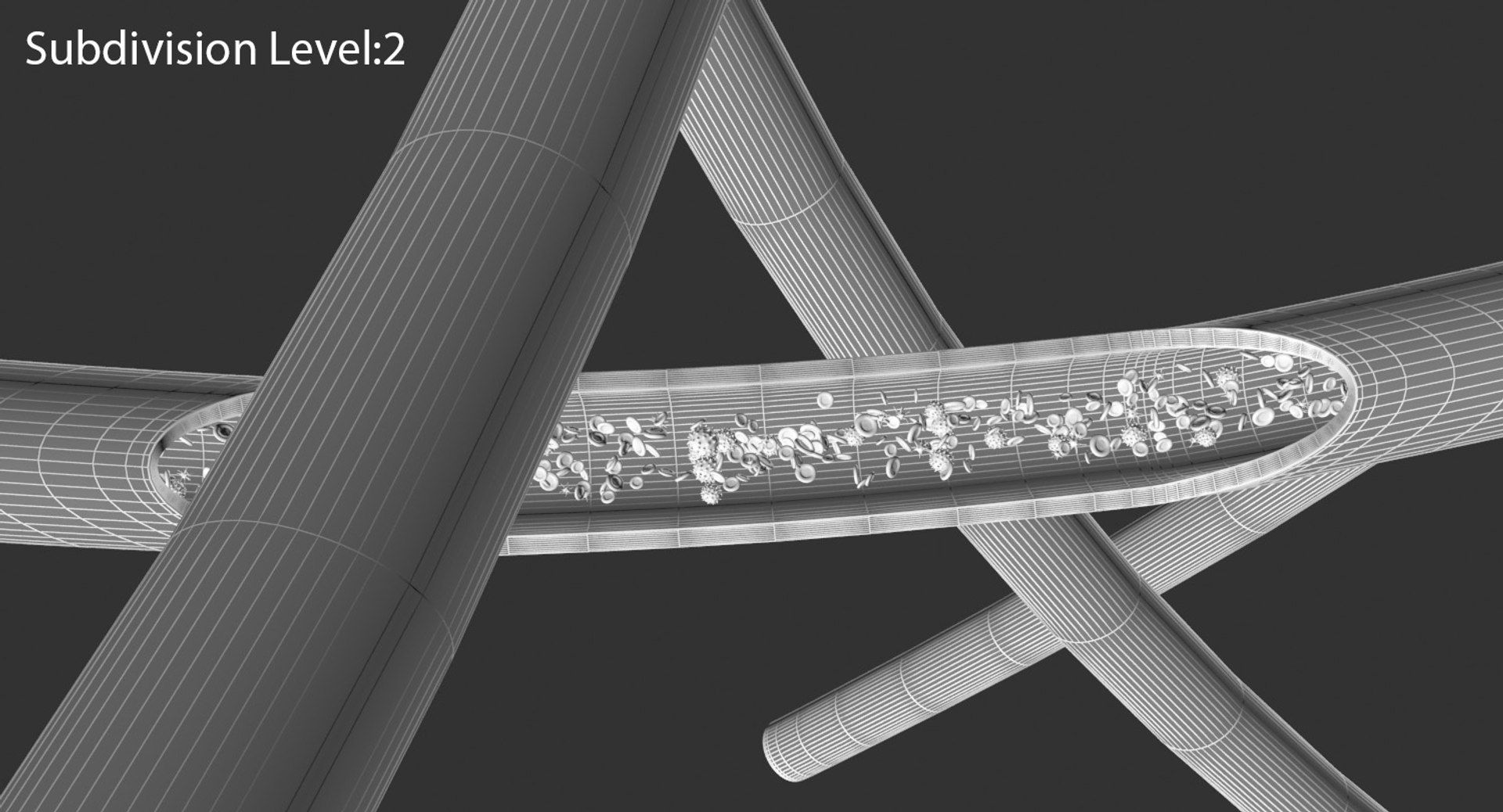Bloodstream Static 3D Model - TurboSquid 1328016